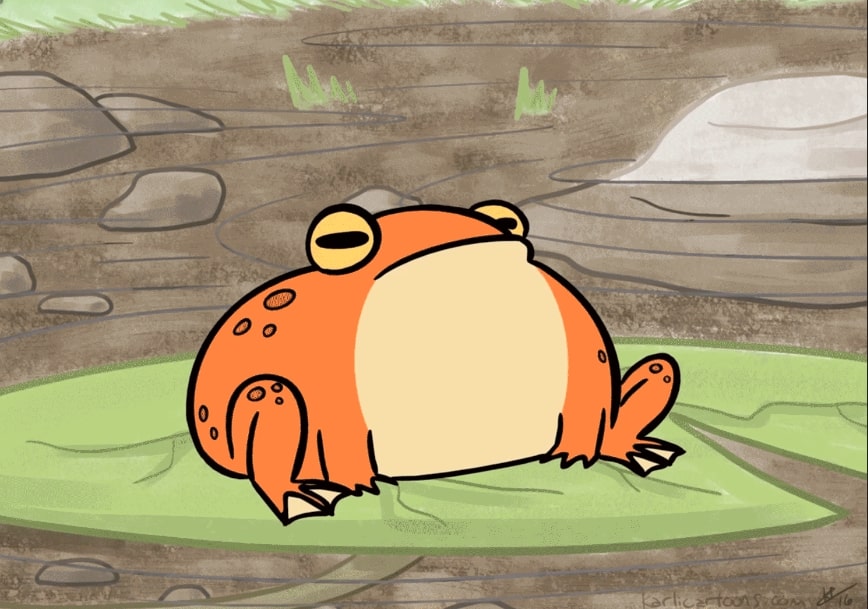 Frog Bot - Discord bot for frog lovers